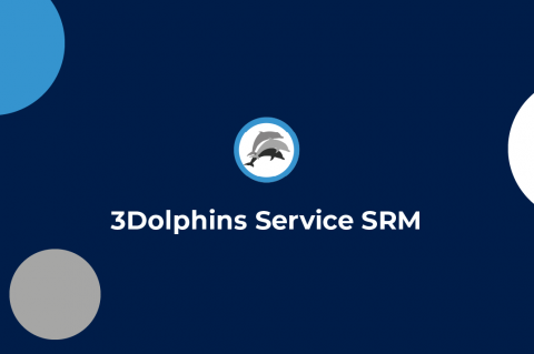 Learning 3Dolphins - Divers